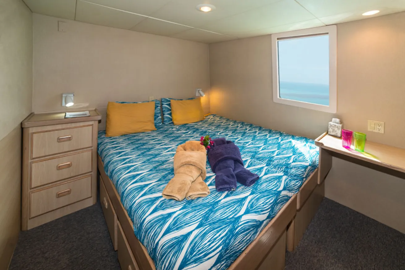 5 Reasons Turks & Caicos Explorer II Is the Best Caribbean Liveaboard ...