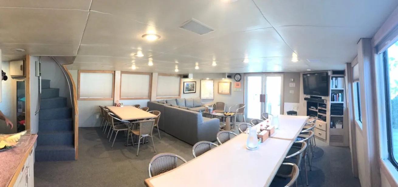 5 Reasons Turks & Caicos Explorer II Is the Best Caribbean Liveaboard ...