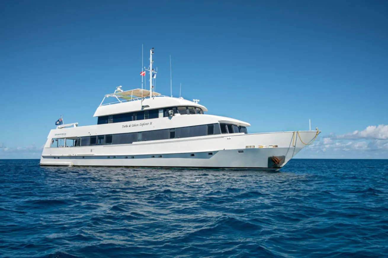 5 Reasons Turks & Caicos Explorer II Is the Best Caribbean Liveaboard ...