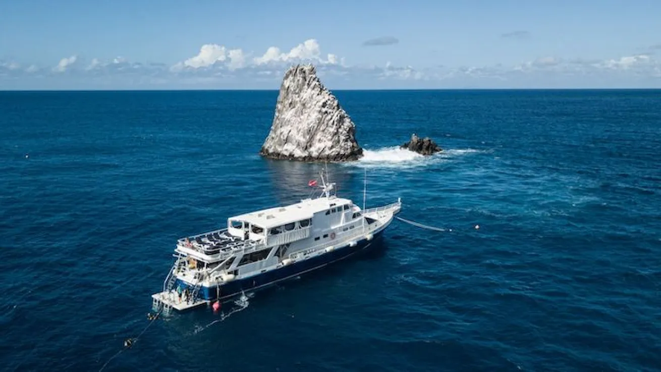Exploring the Best Caribbean Destinations Through Liveaboard Scuba ...
