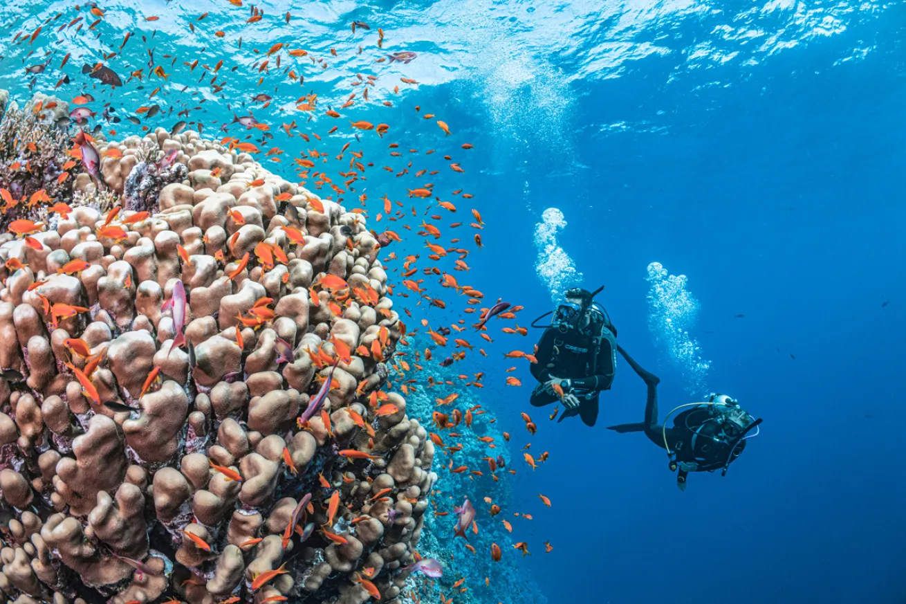 How to Find an Eco-Friendly Dive Center | Scuba Diving