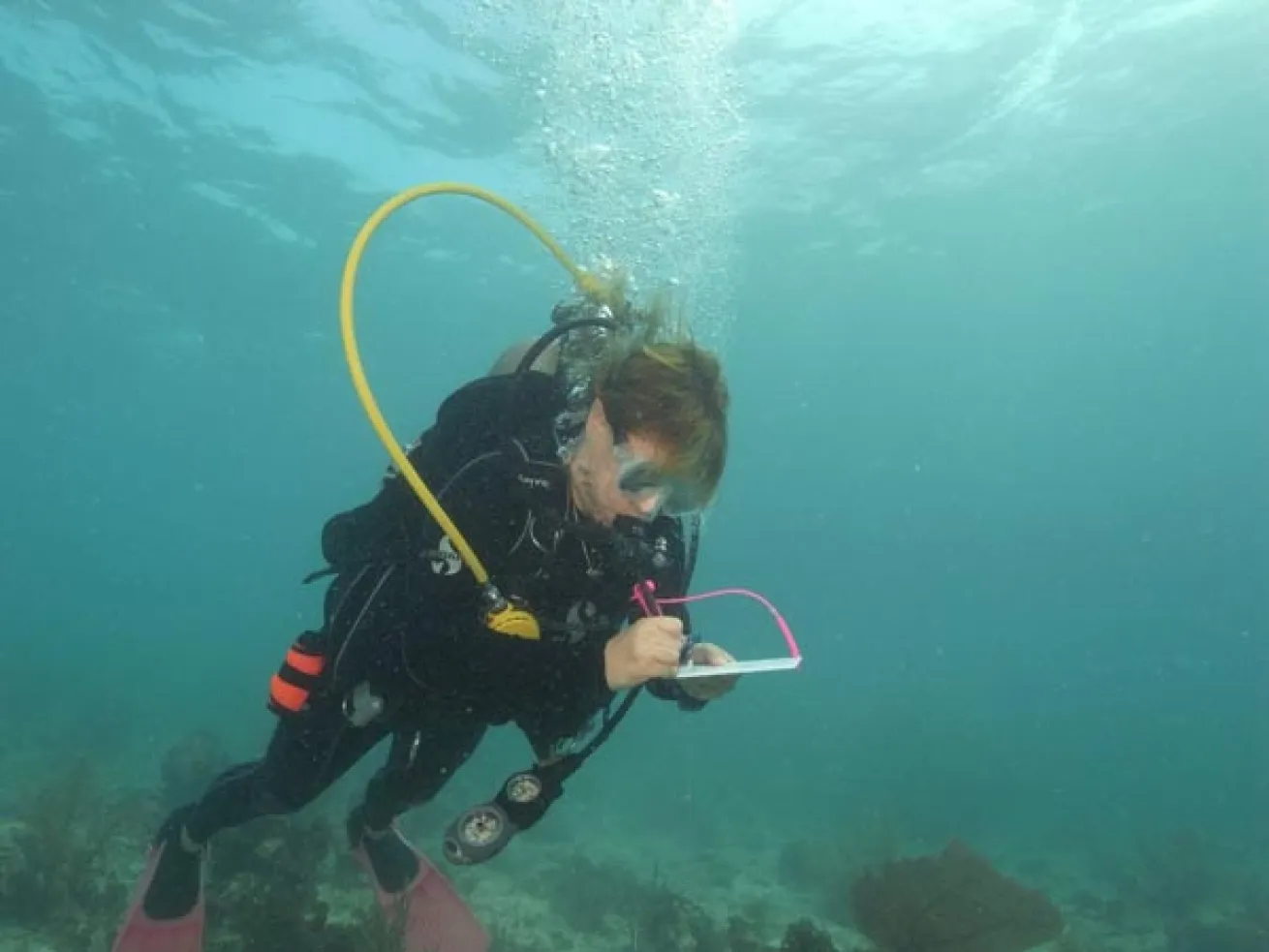 ScubaLab Blog: Onboard Spree in Key West | Scuba Diving