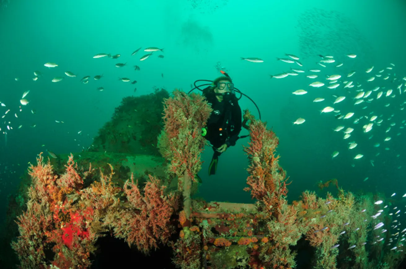 10 Tips for Avoiding Nitrogen Narcosis | Scuba Diving