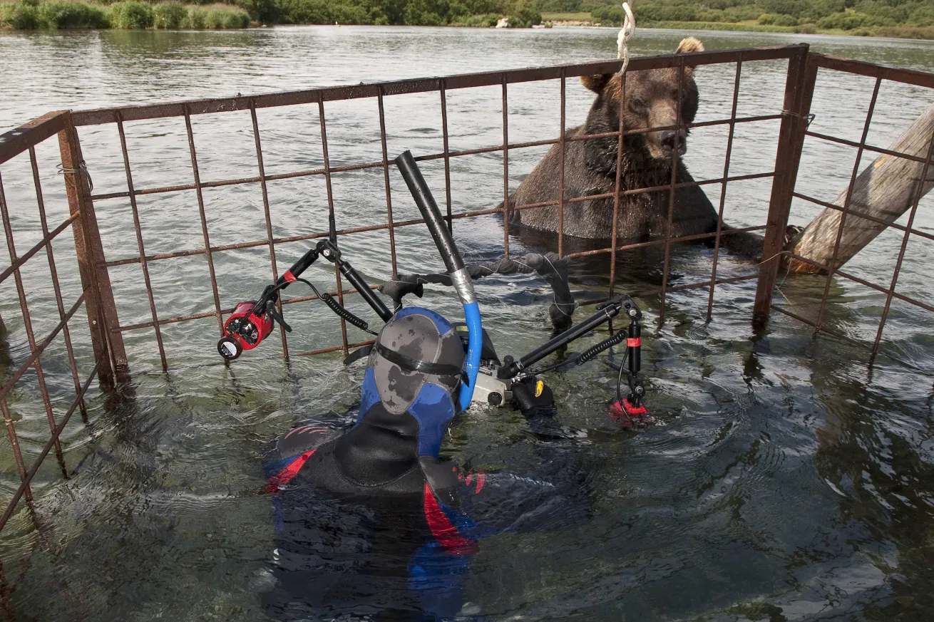 What It's Like: To Dive with Wild Bears | Scuba Diving