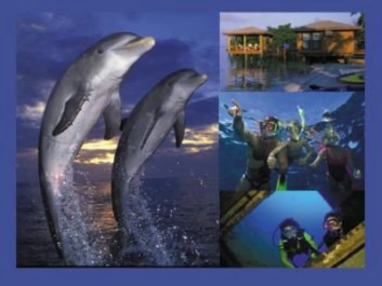 Anthony's Key Resort | Scuba Diving