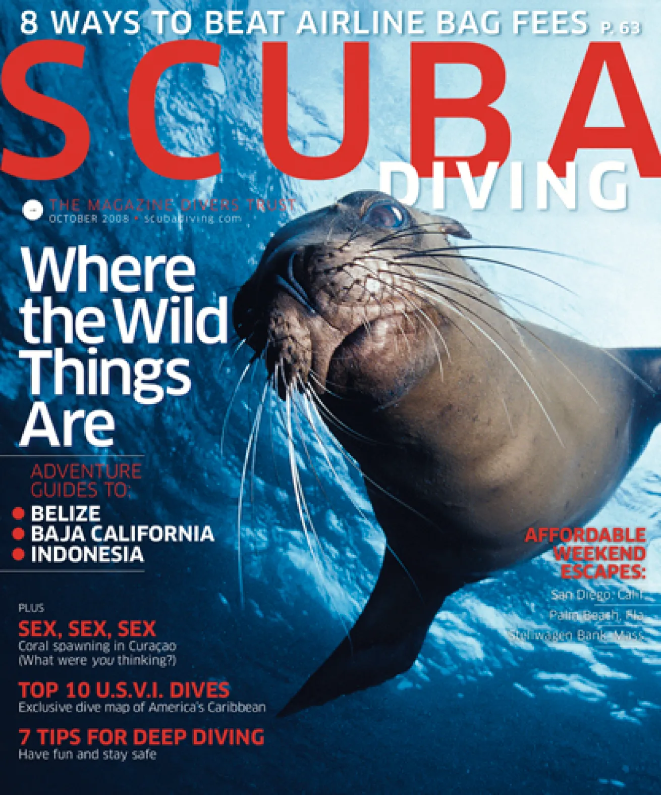 Classic Scuba Diving Magazine Covers | Scuba Diving