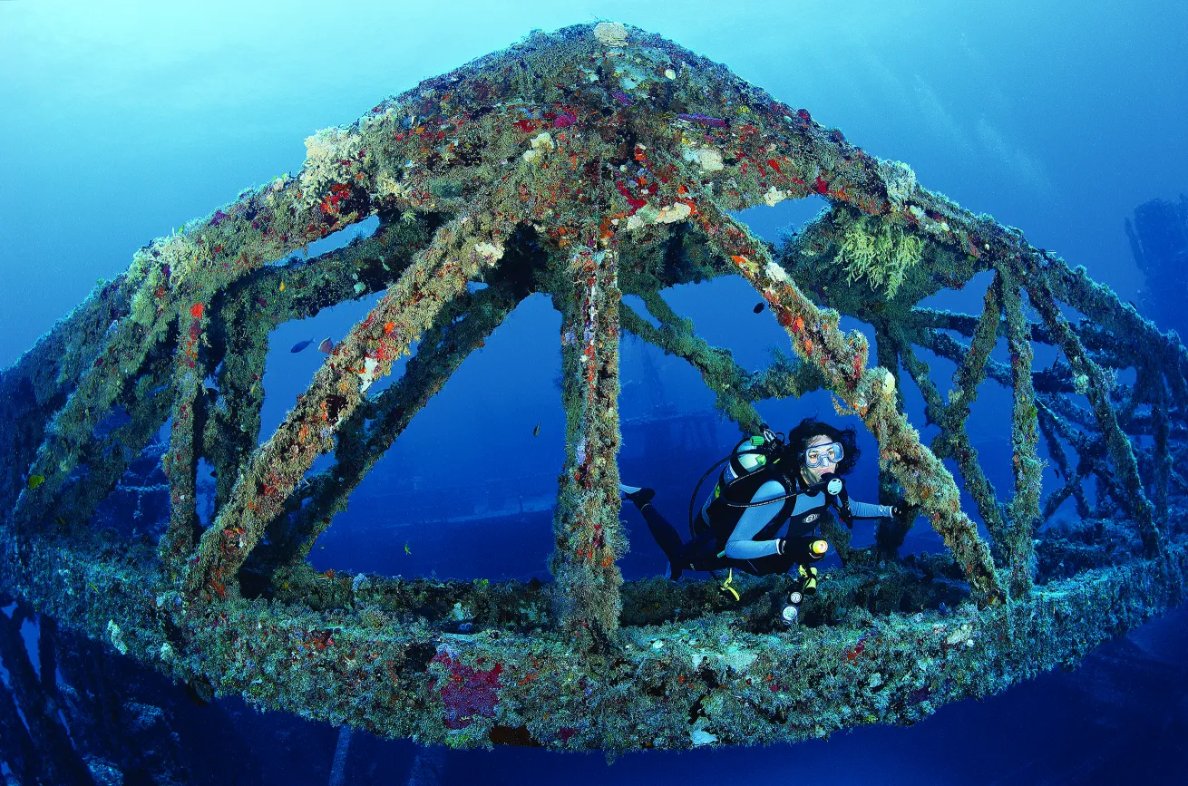 40 Reasons We Love Diving in the USA | Scuba Diving