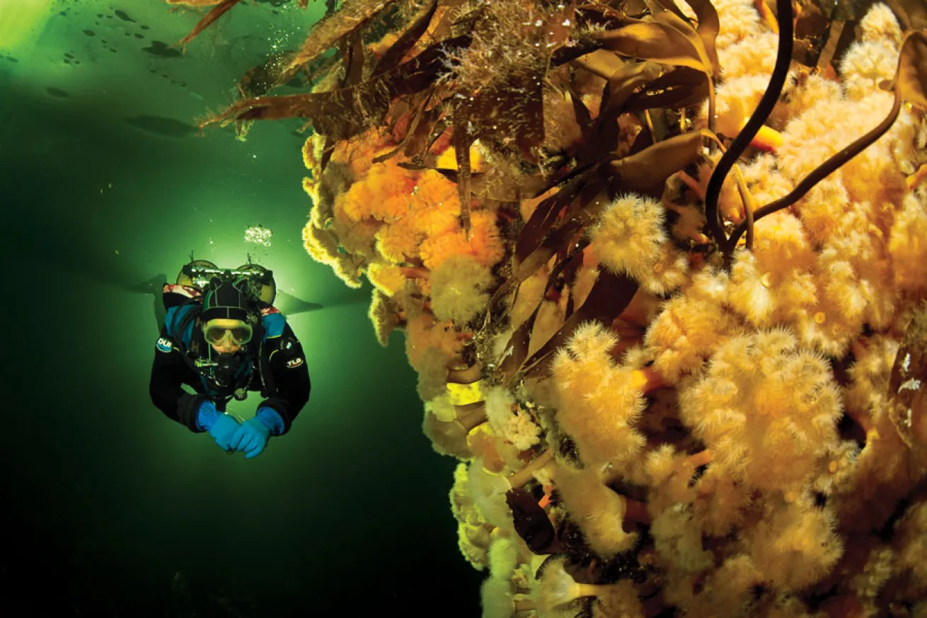 Outer Limits: 15 of the World's Most Epic Dives | Scuba Diving