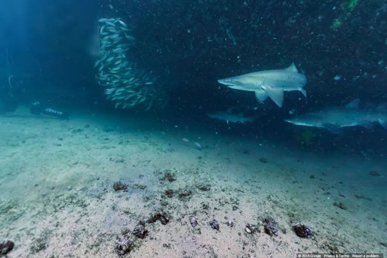 Explore the Ocean Underwater with Google Maps Street View | Scuba Diving