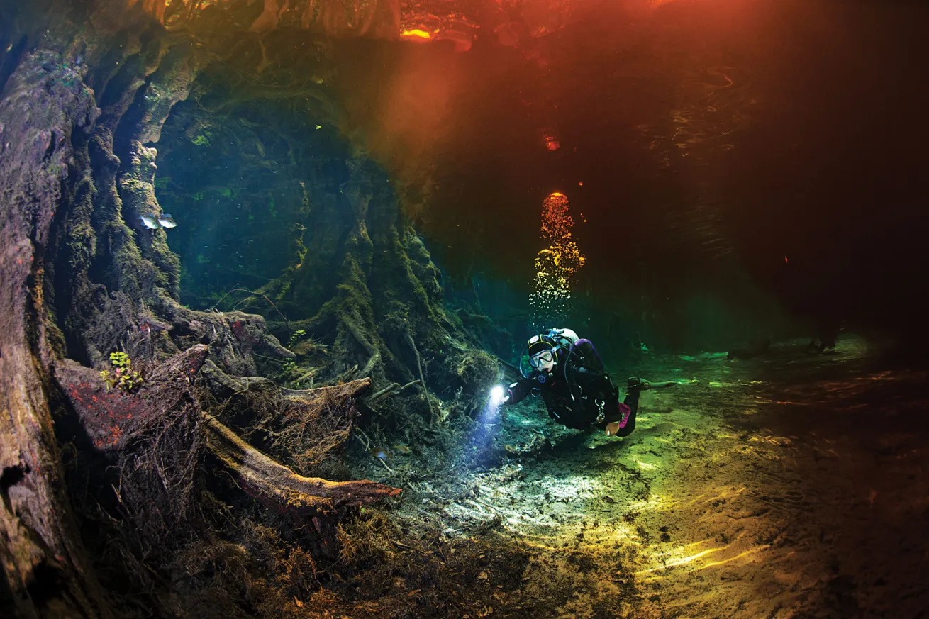 Top 100 2015: Best Overall Diving | Scuba Diving