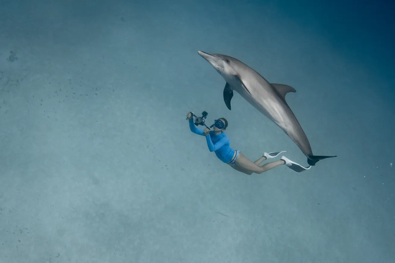Swimming With Wild Dolphins: A Guide to Ethical Encounters | Scuba Diving