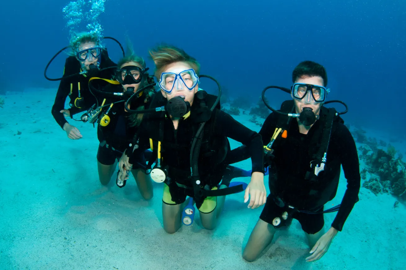 Spend Your Summer Under the Sea with Camp Program for Parents and Kids ...