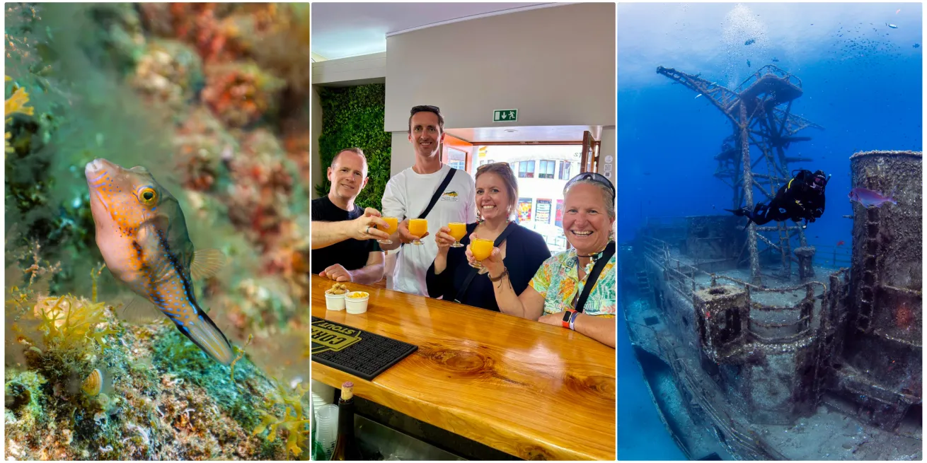 Scuba Diving Guide: Madeira Islands, Portugal | Scuba Diving