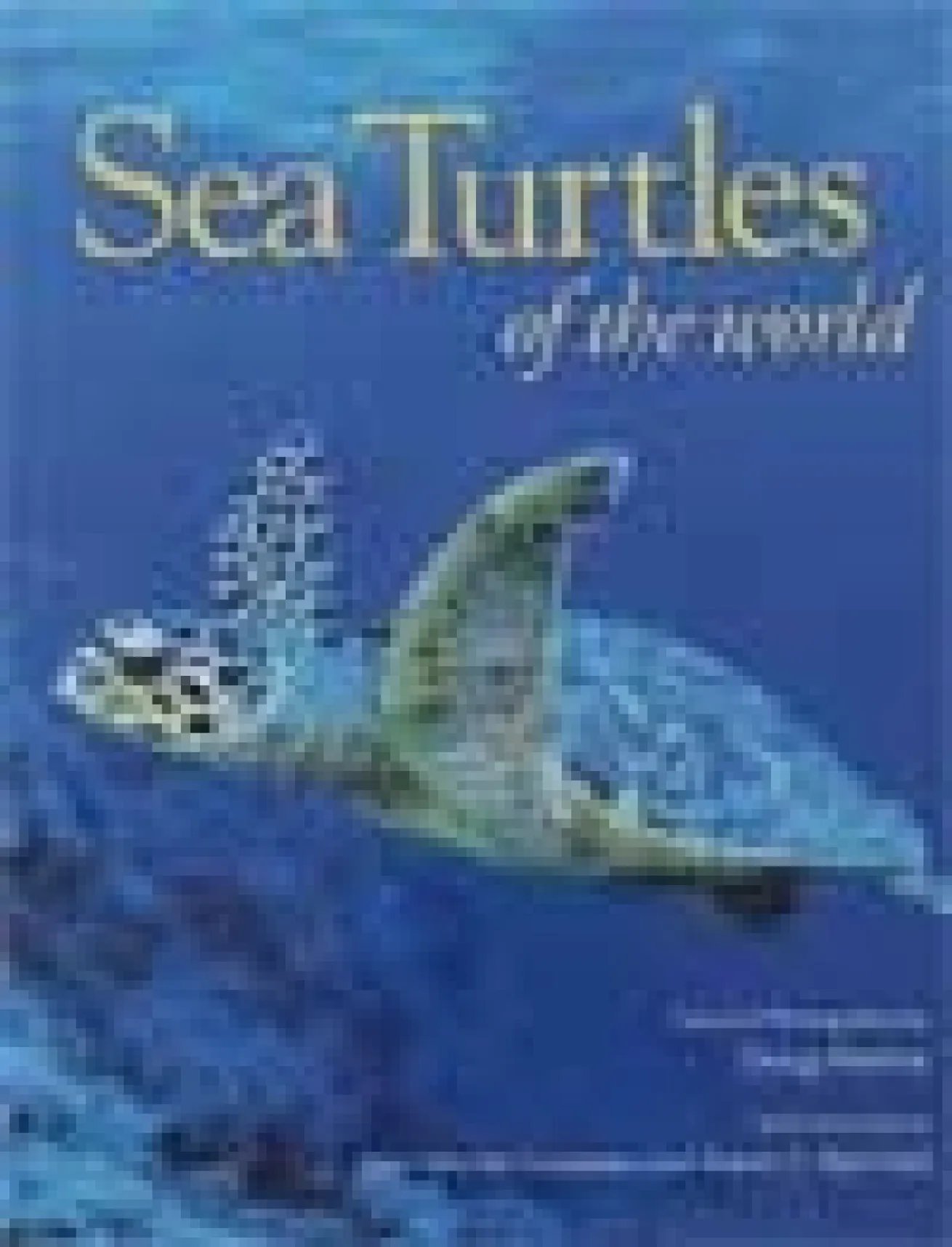 Book Shelf | Scuba Diving