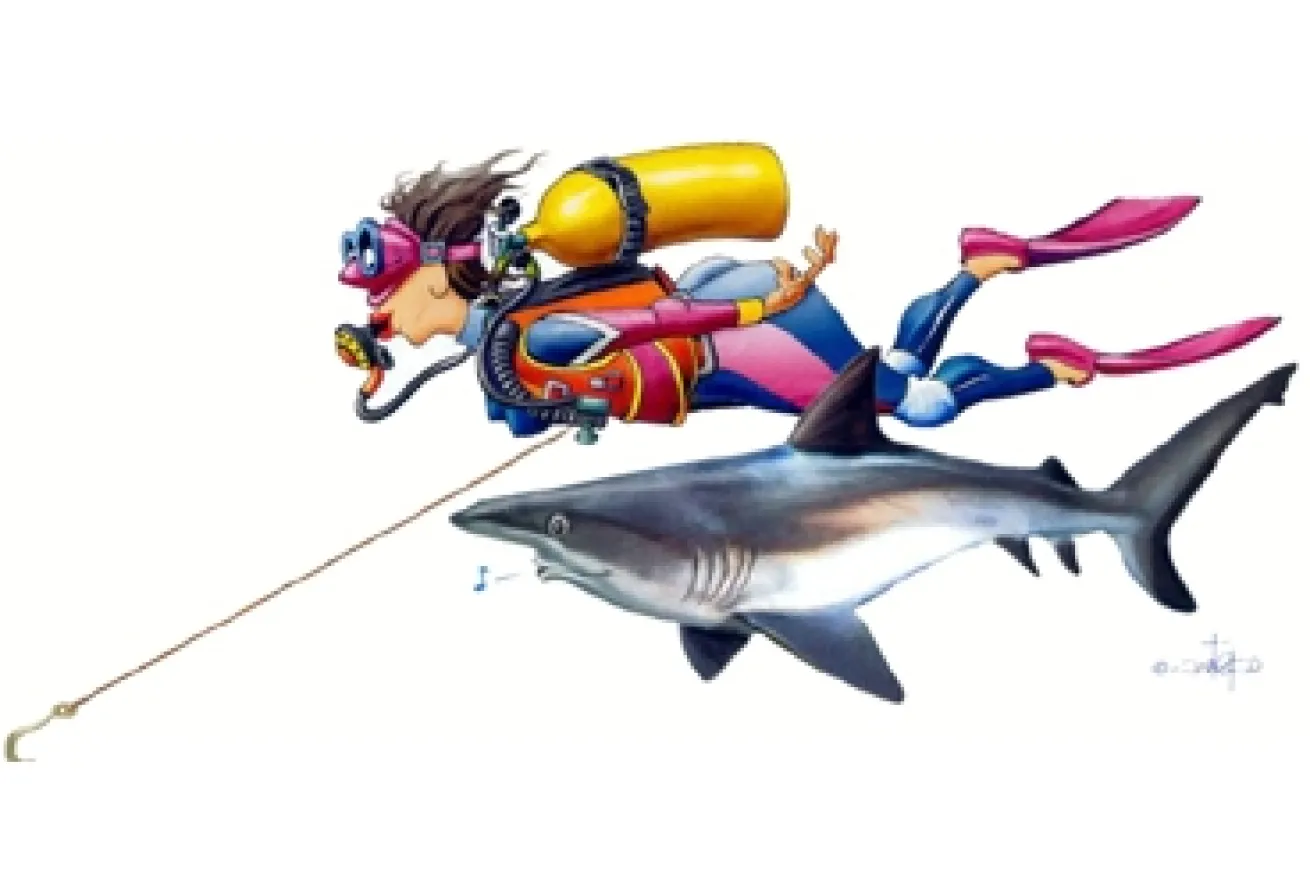 Fish 'n Fins Shark Week | Scuba Diving