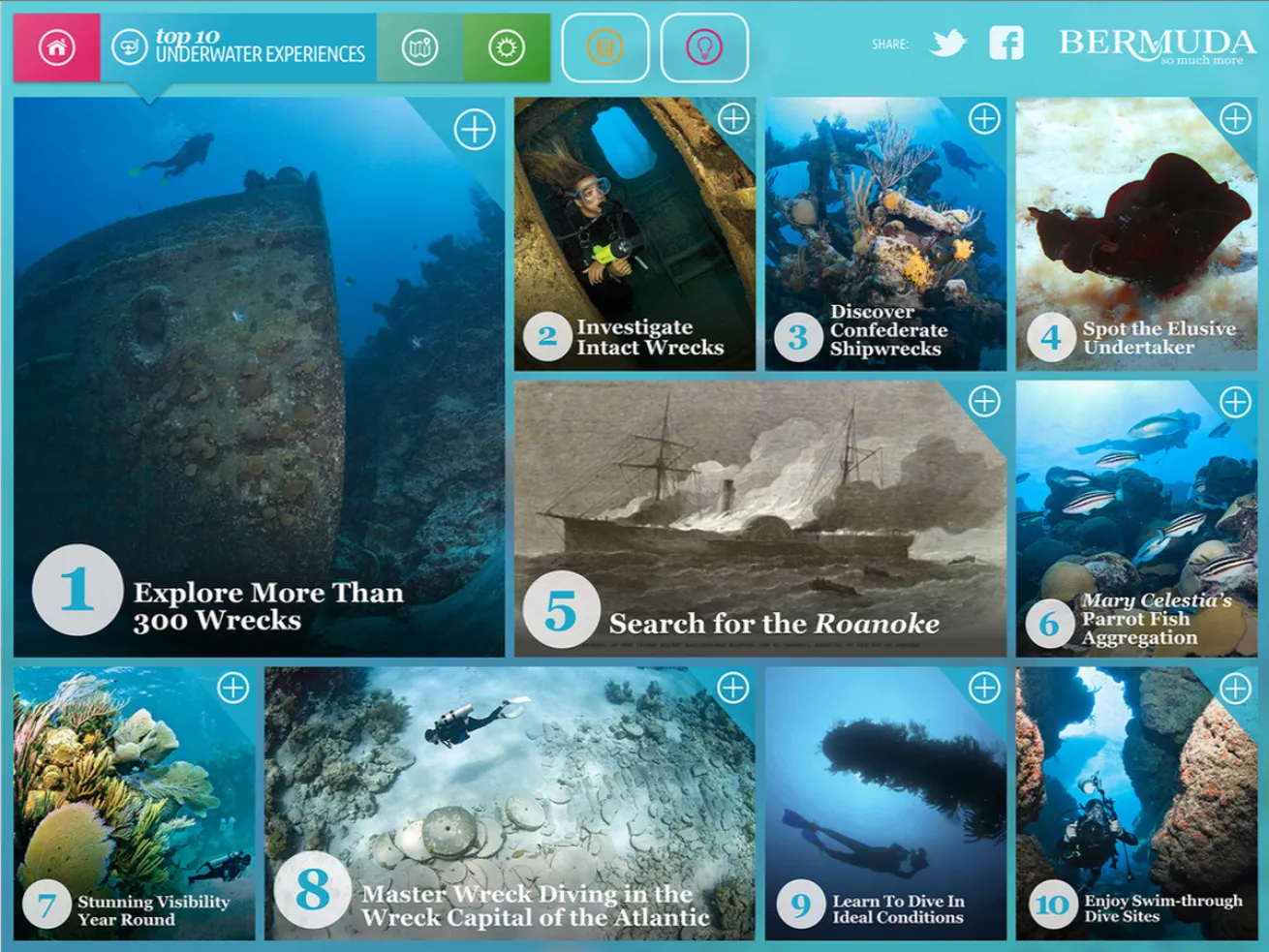Check out the Top 10 Dive Experiences in Bermuda | Scuba Diving
