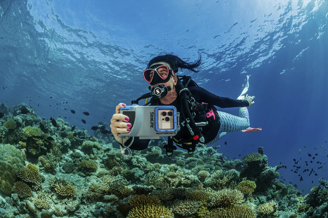 Announcing Scuba Diving's 2025 Underwater Photo Contest Winners | Scuba ...