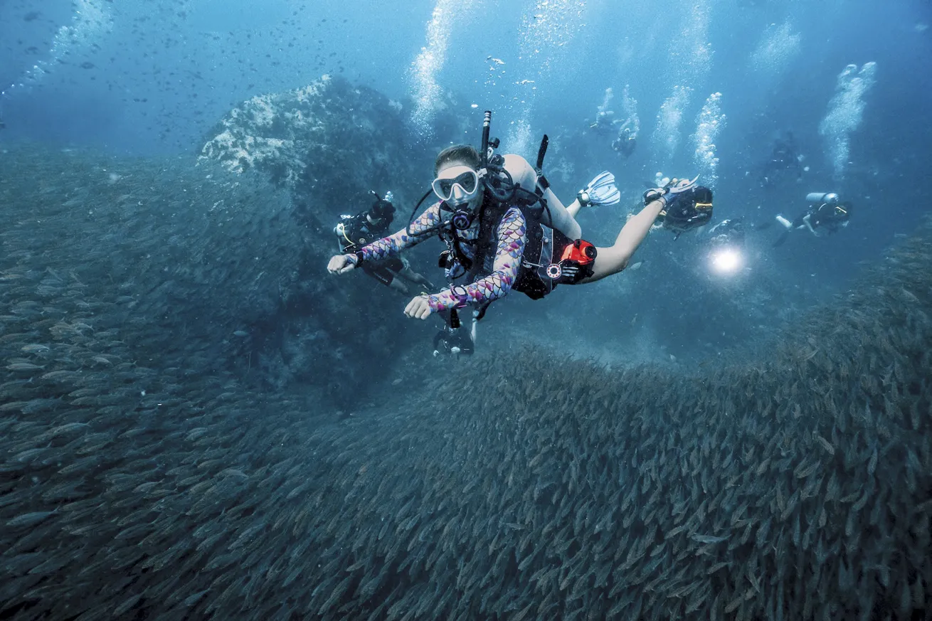 A Mission to Protect Koh Tao's Reefs | Scuba Diving