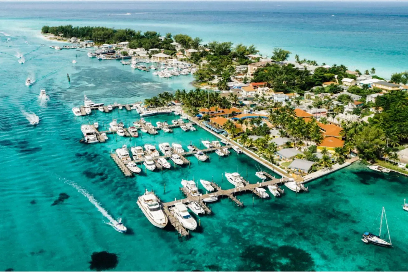 Hammerheads, Tiger Sharks + Endless Summer Diving: Your Bahamas Bucket ...