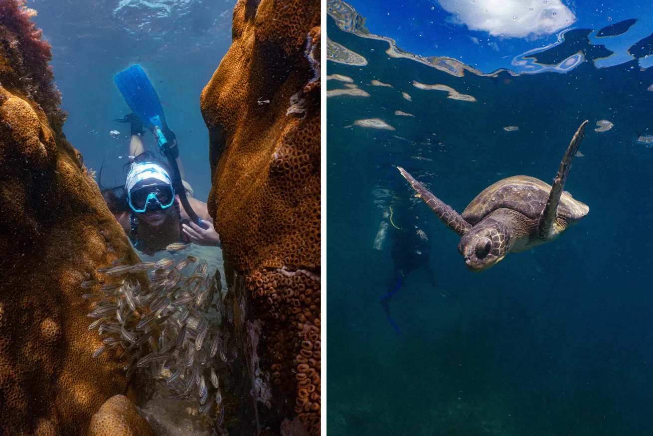 Diving in Brazil’s Caribbean-Like Paradise | Scuba Diving