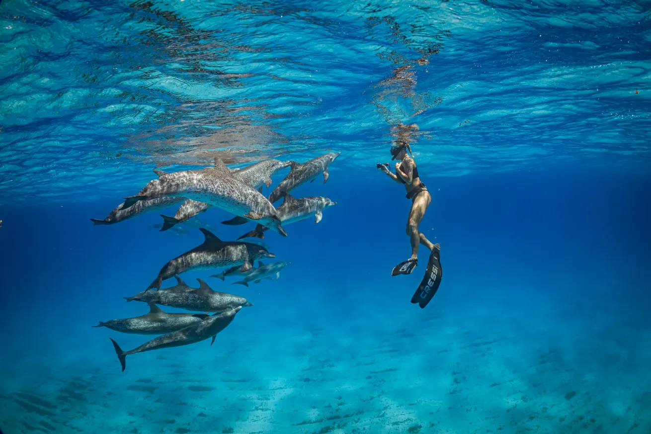 Ask a Pro Photographer: How to Use Photography for Conservation | Scuba ...