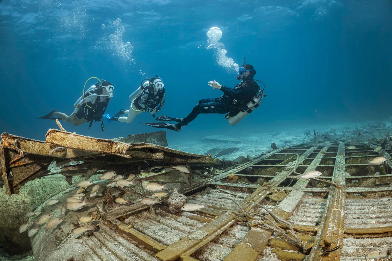 World's Best Scuba Diving Liveaboards | Scuba Diving