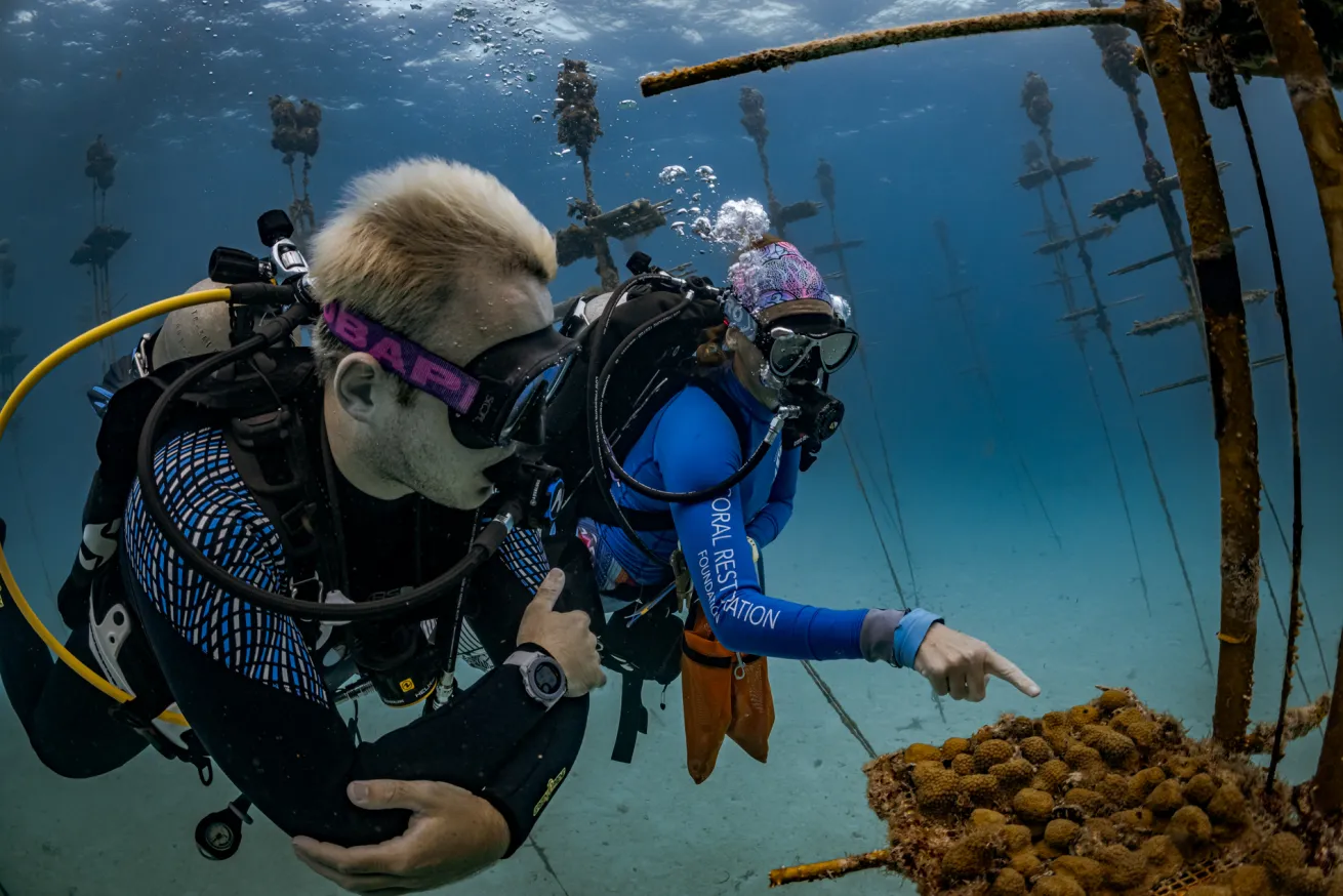 How to Look Good in Underwater Photos | Scuba Diving