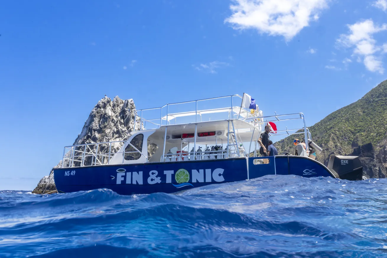 Discovering Saba's Volcanic Dive Scene | Scuba Diving