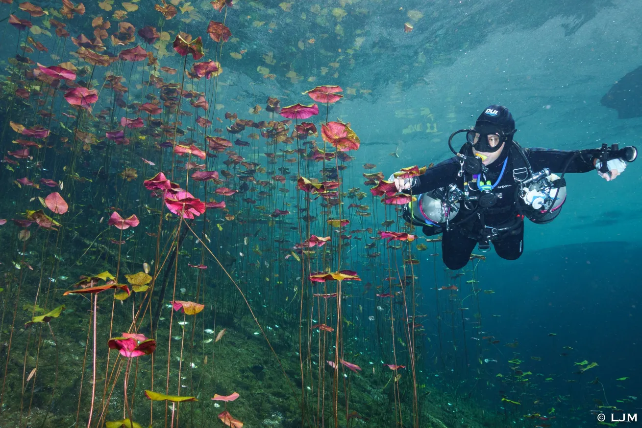 The Day the Ceiling Changed My Diving, as told by Terry Ward | Scuba Diving