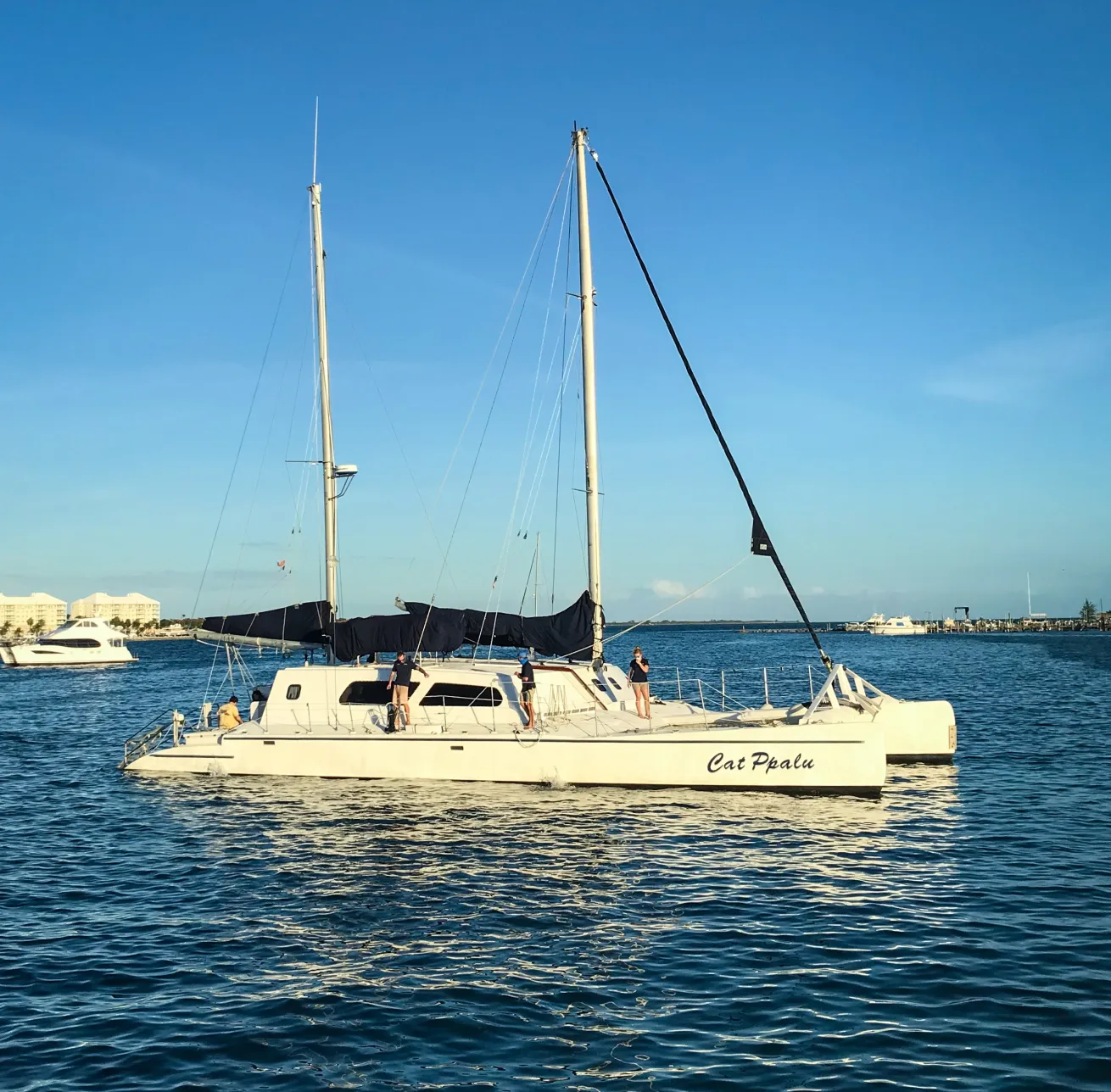 4 Epic Liveaboard Expeditions for Citizen Scientists | Scuba Diving