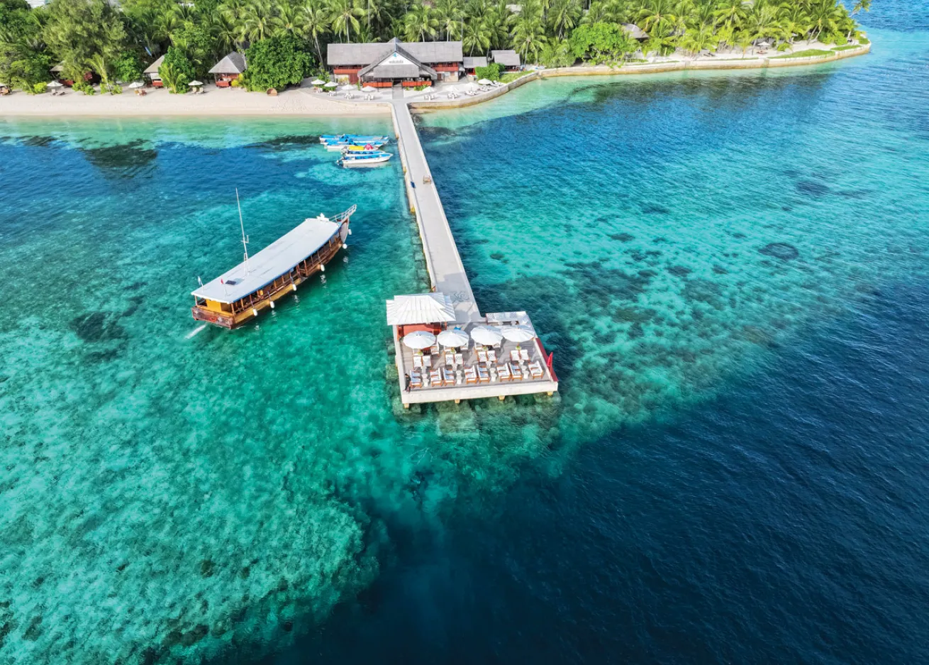 World's Best Scuba Diving Resorts to Visit In 2024 | Scuba Diving