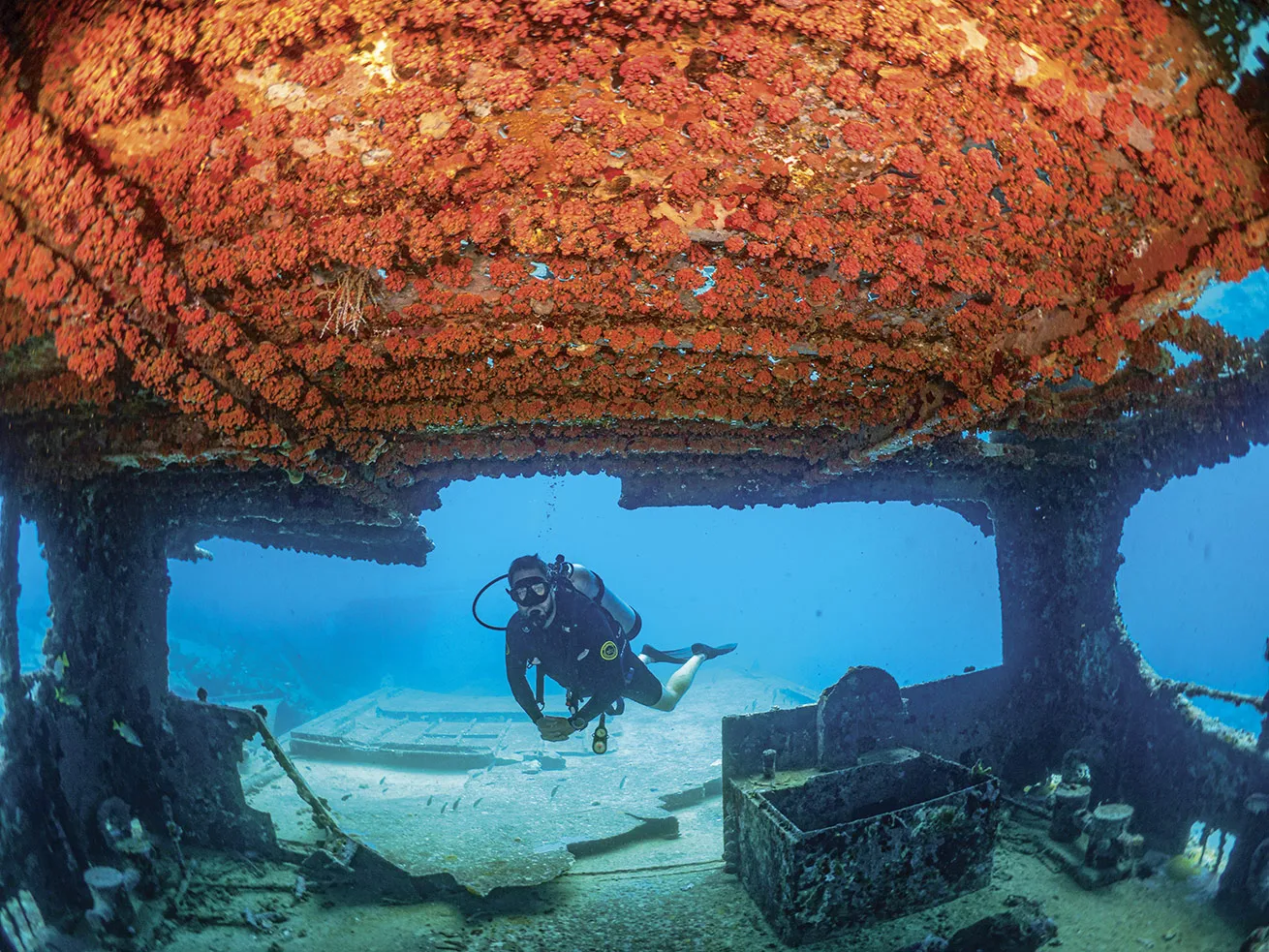 5 Ways to Dive the Dominican Republic | Scuba Diving