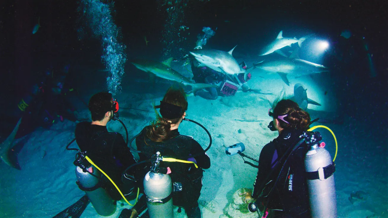 8 Best Places for Shark Encounters | Scuba Diving