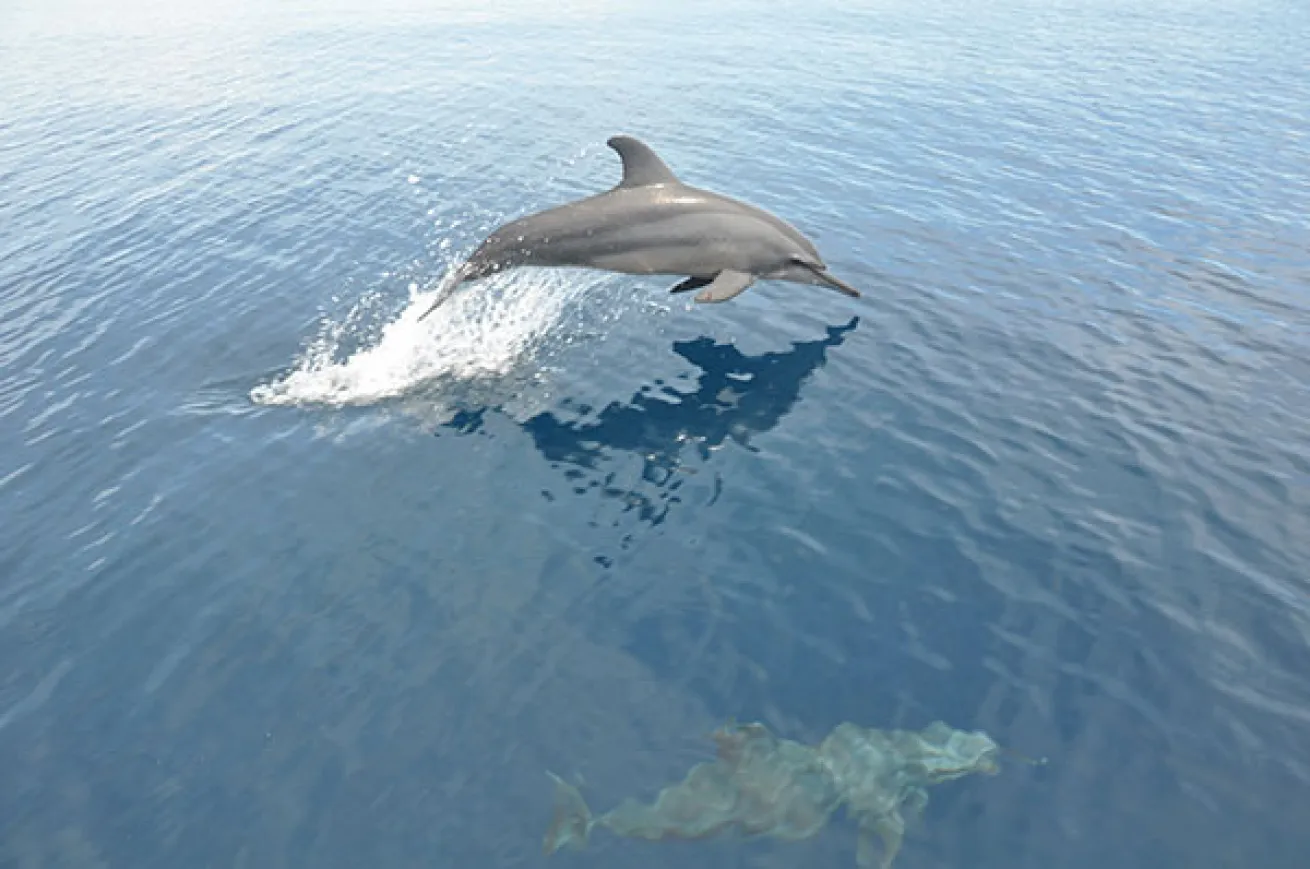 School's in for Raja Ampat | Scuba Diving