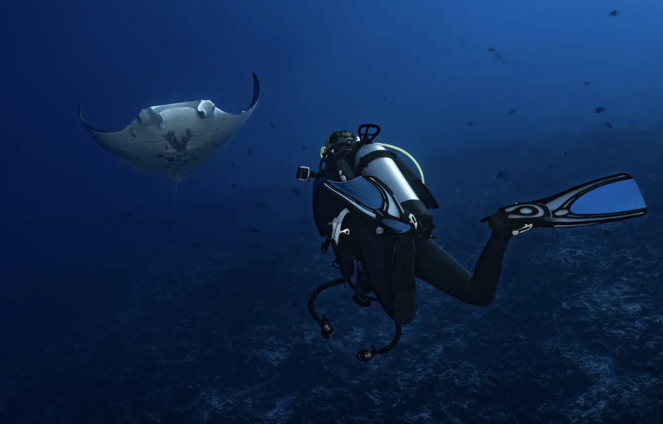 Diving French Polynesia’s Tuamotu Islands | Scuba Diving