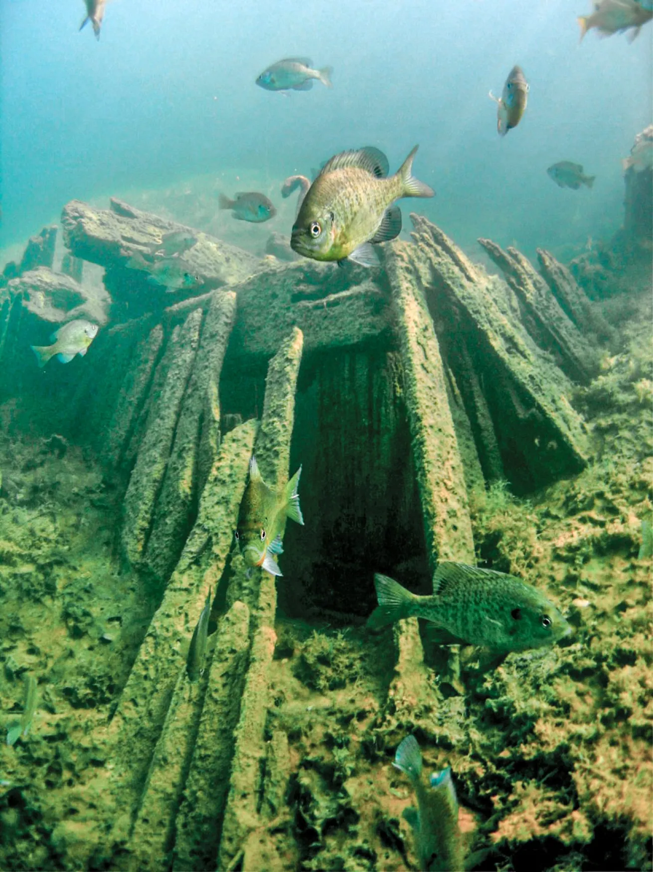 Diving the Cuyuna Mine Pits in Minnesota | Scuba Diving