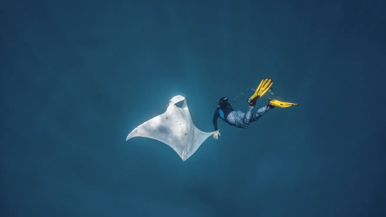 Jessica Pate Awarded May Sea Hero for Manta Ray Conservation | Scuba Diving