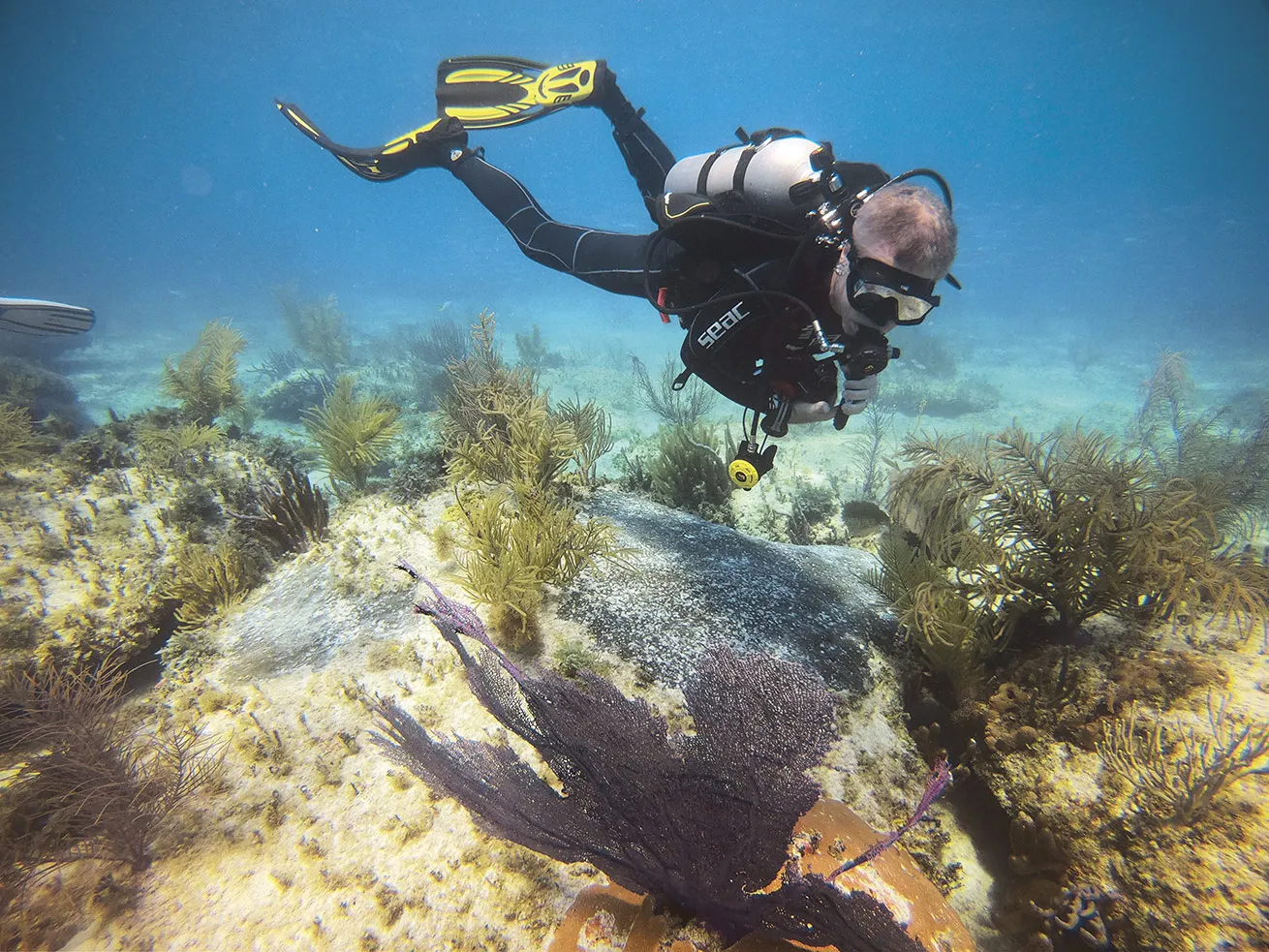 PADI Club Member Spotlight: Victoria and Robert Huber | Scuba Diving