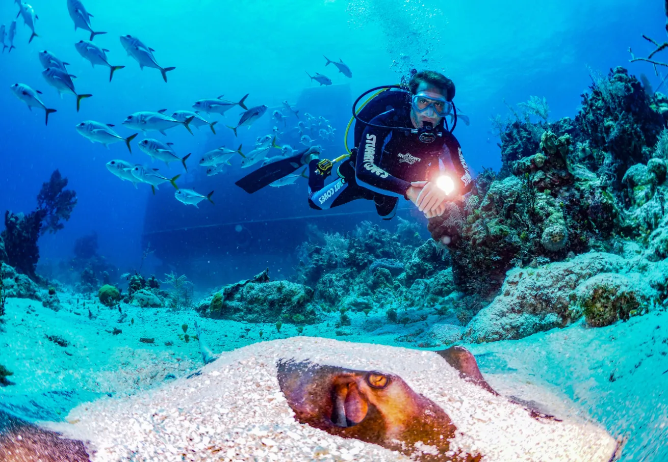 Stuart Cove’s Dive Bahamas | Scuba Diving