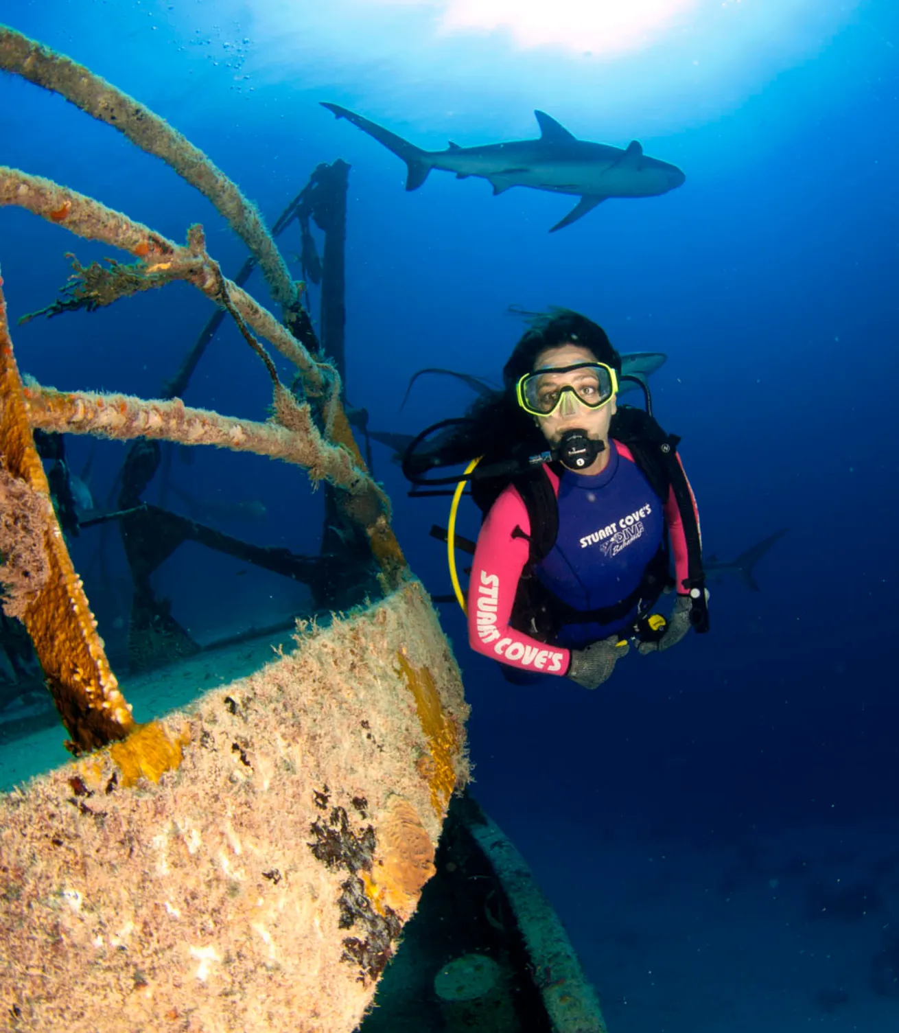 Stuart Cove’s Dive Bahamas | Scuba Diving