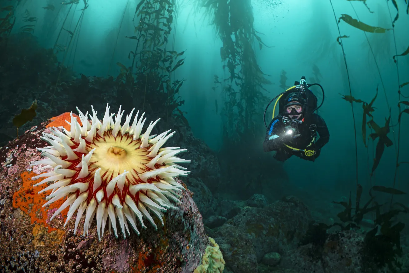How to Shoot Models in Wide-Angle Underwater Photos | Scuba Diving