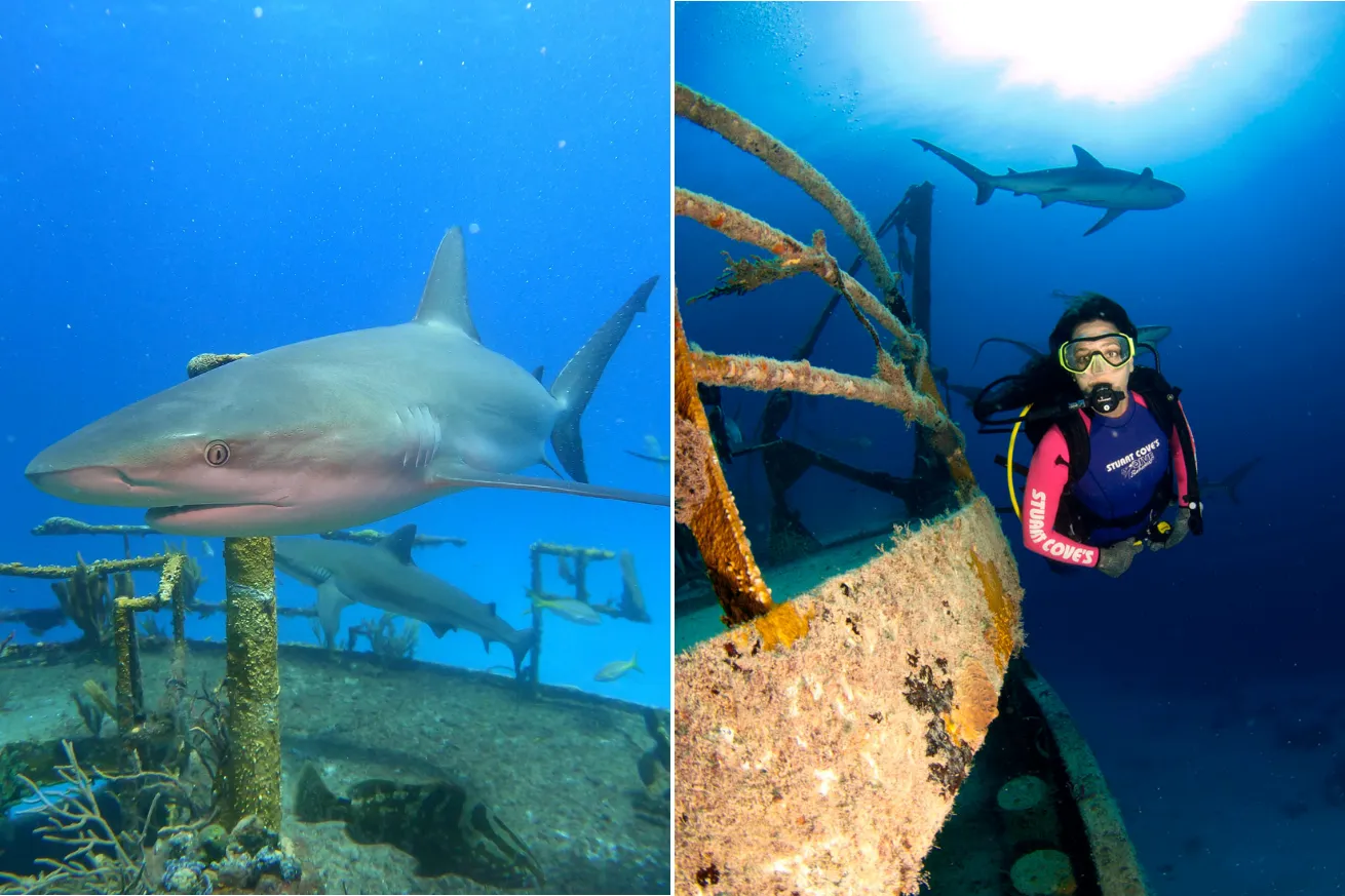 The Ultimate Playground for Your Next Dive Certification | Scuba Diving