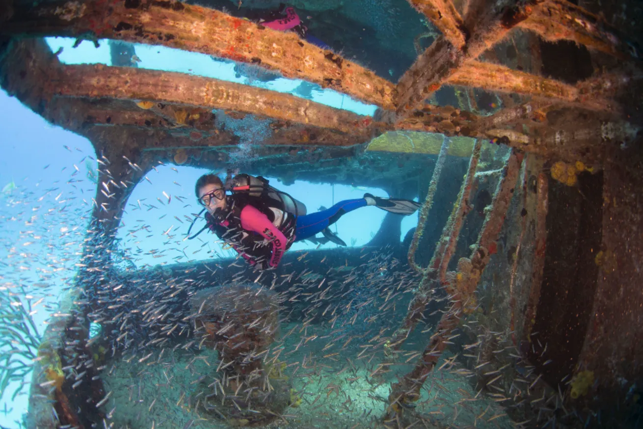 The Ultimate Playground for Your Next Dive Certification | Scuba Diving