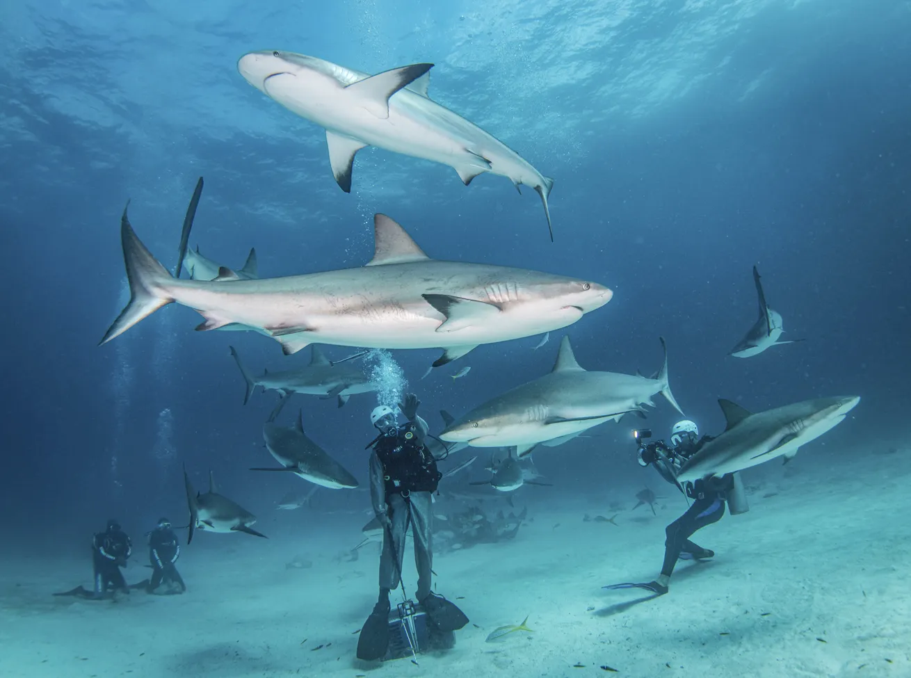 Best Scuba Diving in July | Scuba Diving