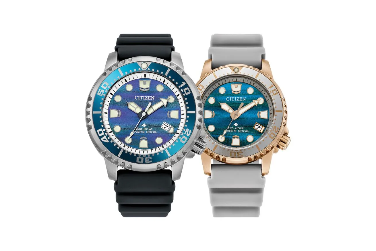 Reviewing Citizen's New Promaster Dive Duo | Scuba Diving