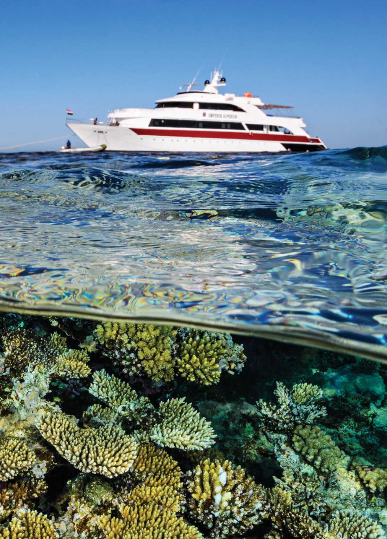 World's Best Scuba Diving Liveaboards for 2024 | Scuba Diving