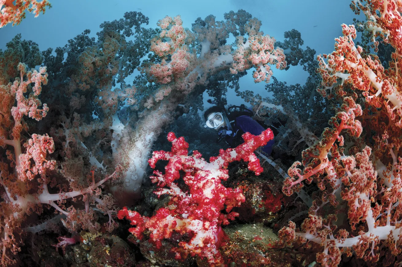 Power of the Pivot: How Flexibility Can Save a Dive Trip | Scuba Diving