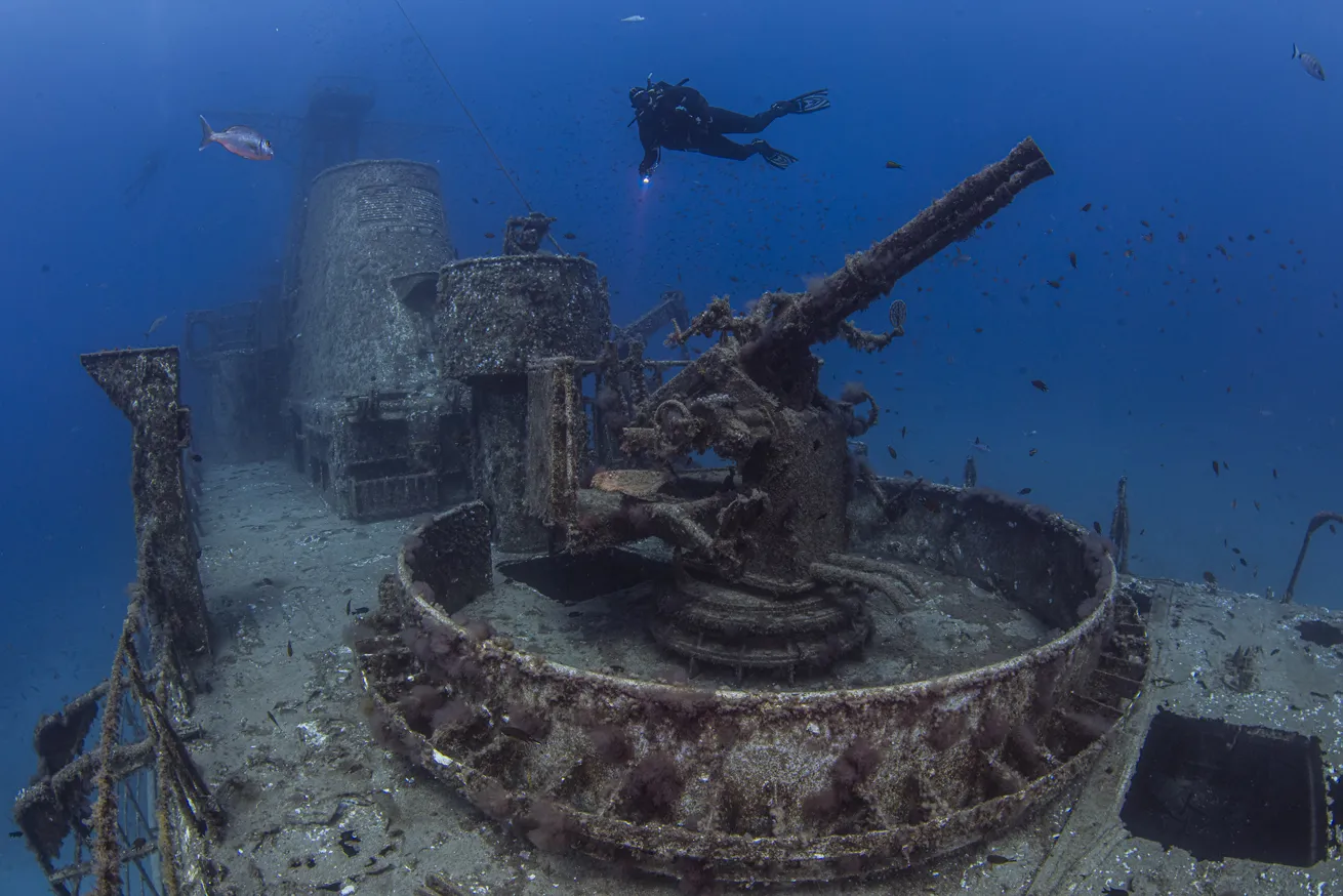 Scuba Diving Guide: Madeira Islands, Portugal | Scuba Diving