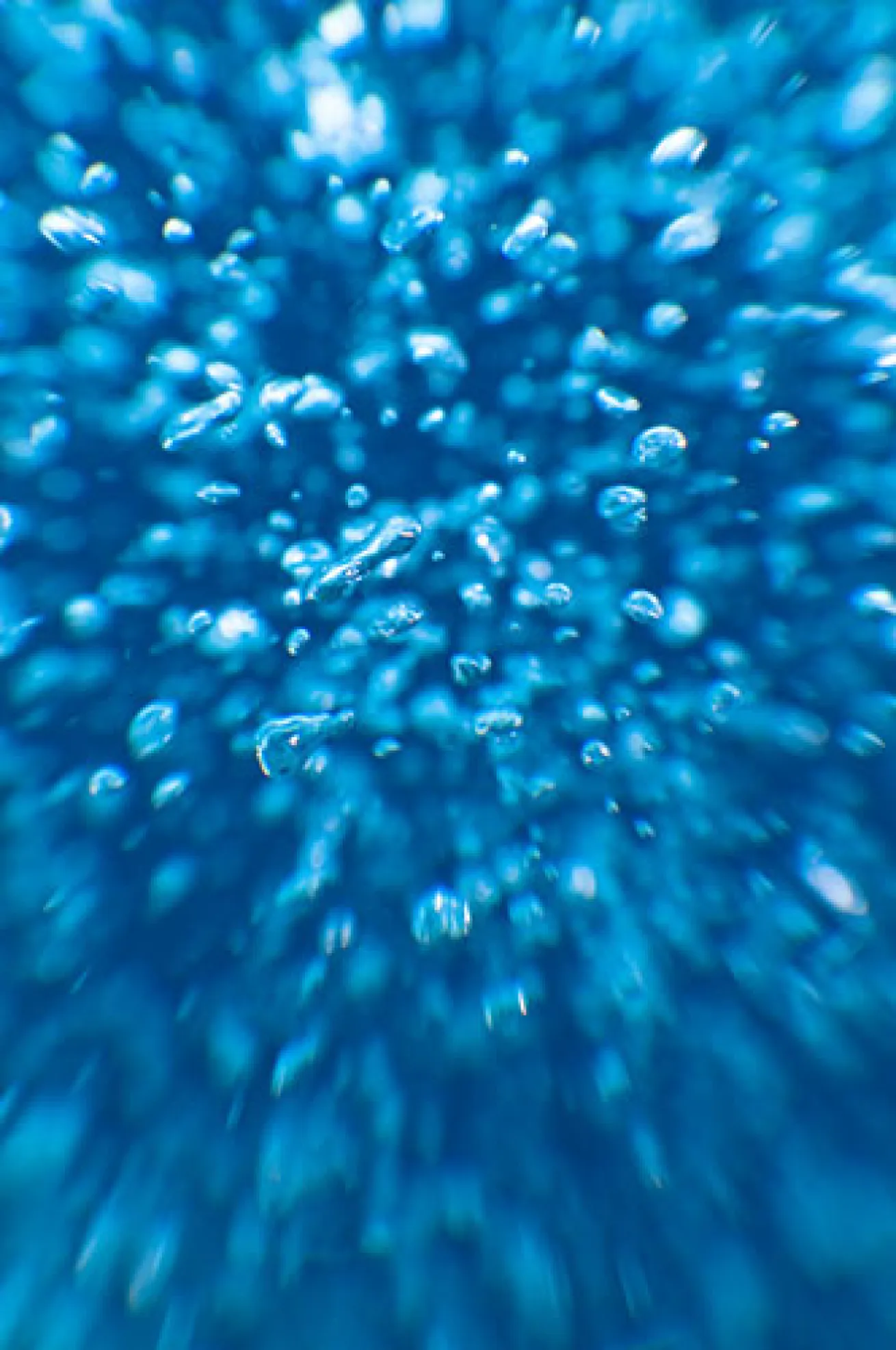 Digital Photography Tips: How to Shoot Abstract Underwater Photography ...