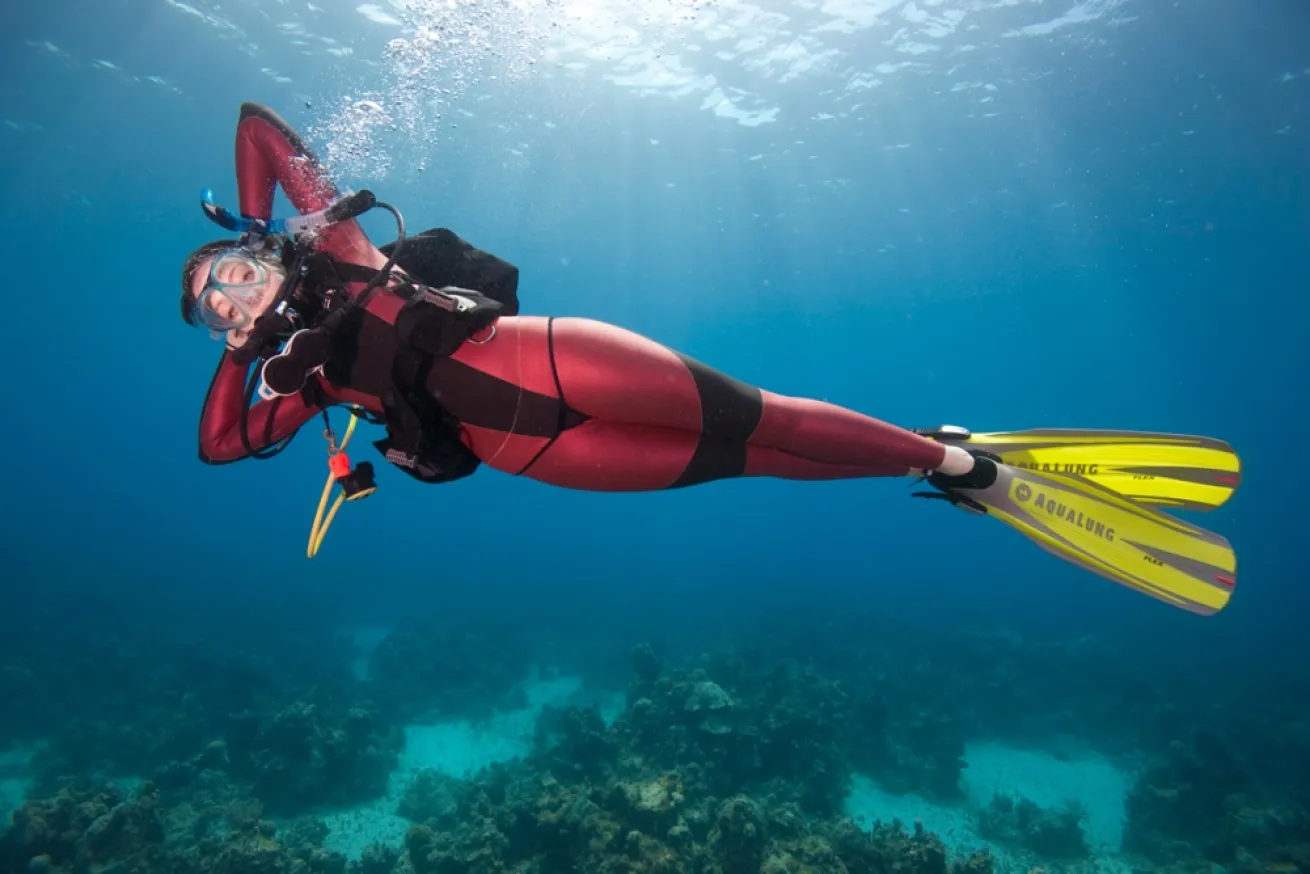 Four Types of Diving Every New Diver Should Try | Scuba Diving